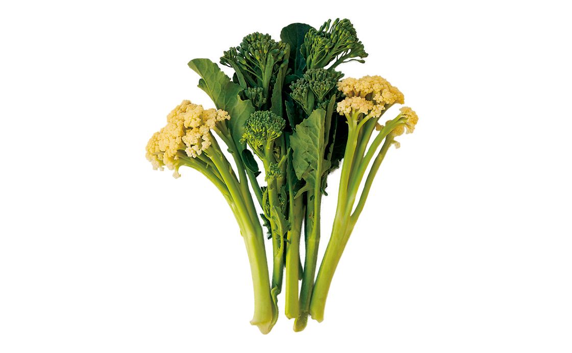 蒸籠食堂かえる / bed&breakfast ichi[三崎の走り] | metropolitana.tokyo [メトロポリターナトーキョー]